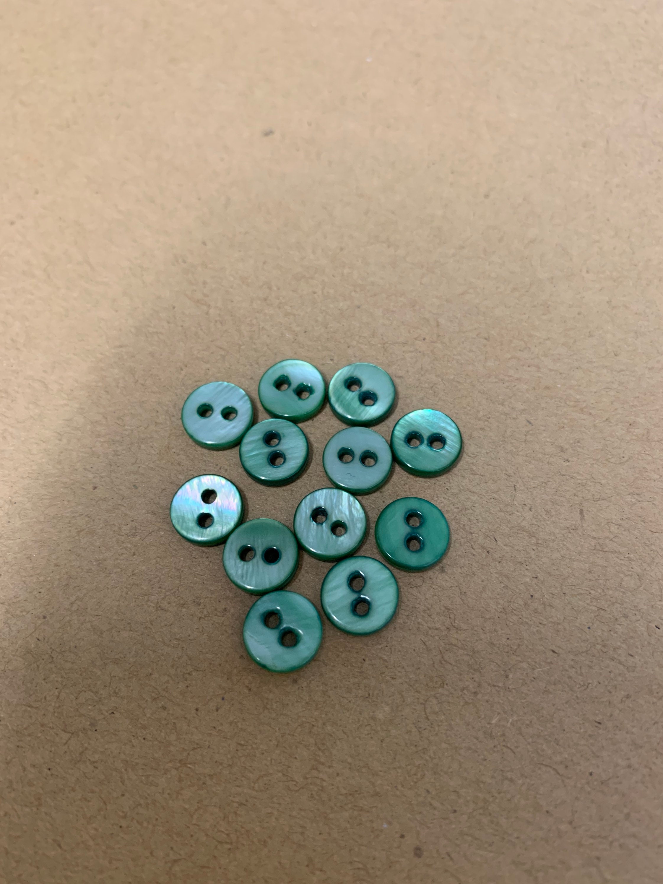 12 Pcs of Freshwater Shell Buttons Sewing Crafts Scrap - Etsy UK