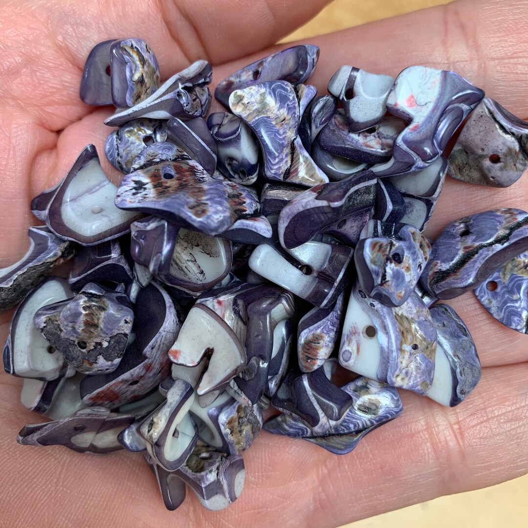 50 X Drilled Purple Craft Shells Pieces Seashells Craft & Beads ...