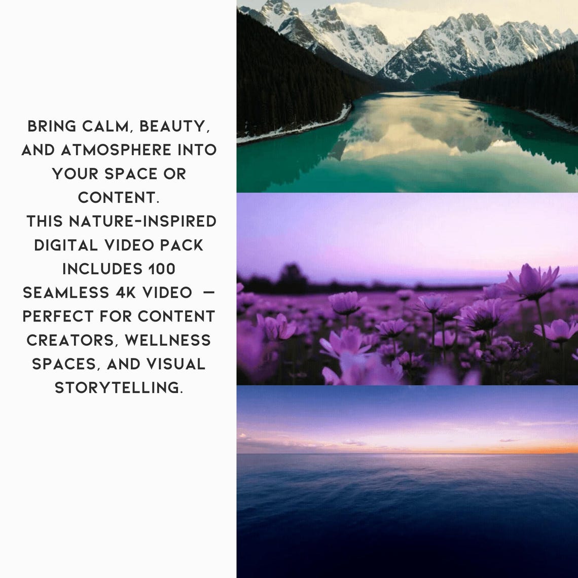 100 Ultimate Nature Video Loops | Commercial Use |4K HD Relaxing ...