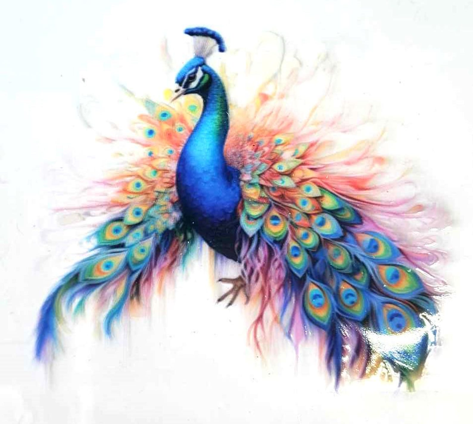 Watercolor Peacock Decals: Full Color Waterproof Stickers - Etsy