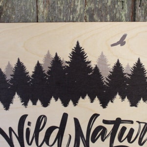 Wilderness Outdoors Open Space Wild Nature Mountain Range Eagle ...