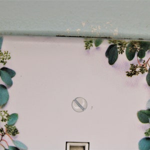 Vining Houseplants Greenery Eucalyptus Plants Light Switch Plate Cover ...