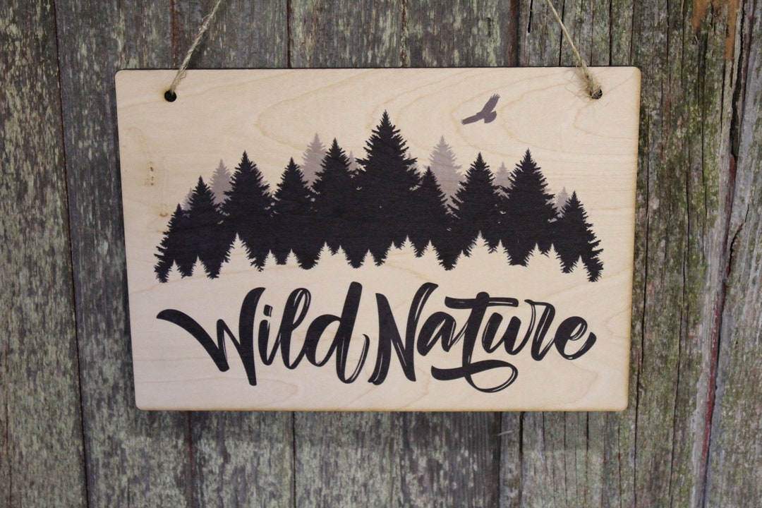 Wilderness Outdoors Open Space Wild Nature Mountain Range Eagle ...