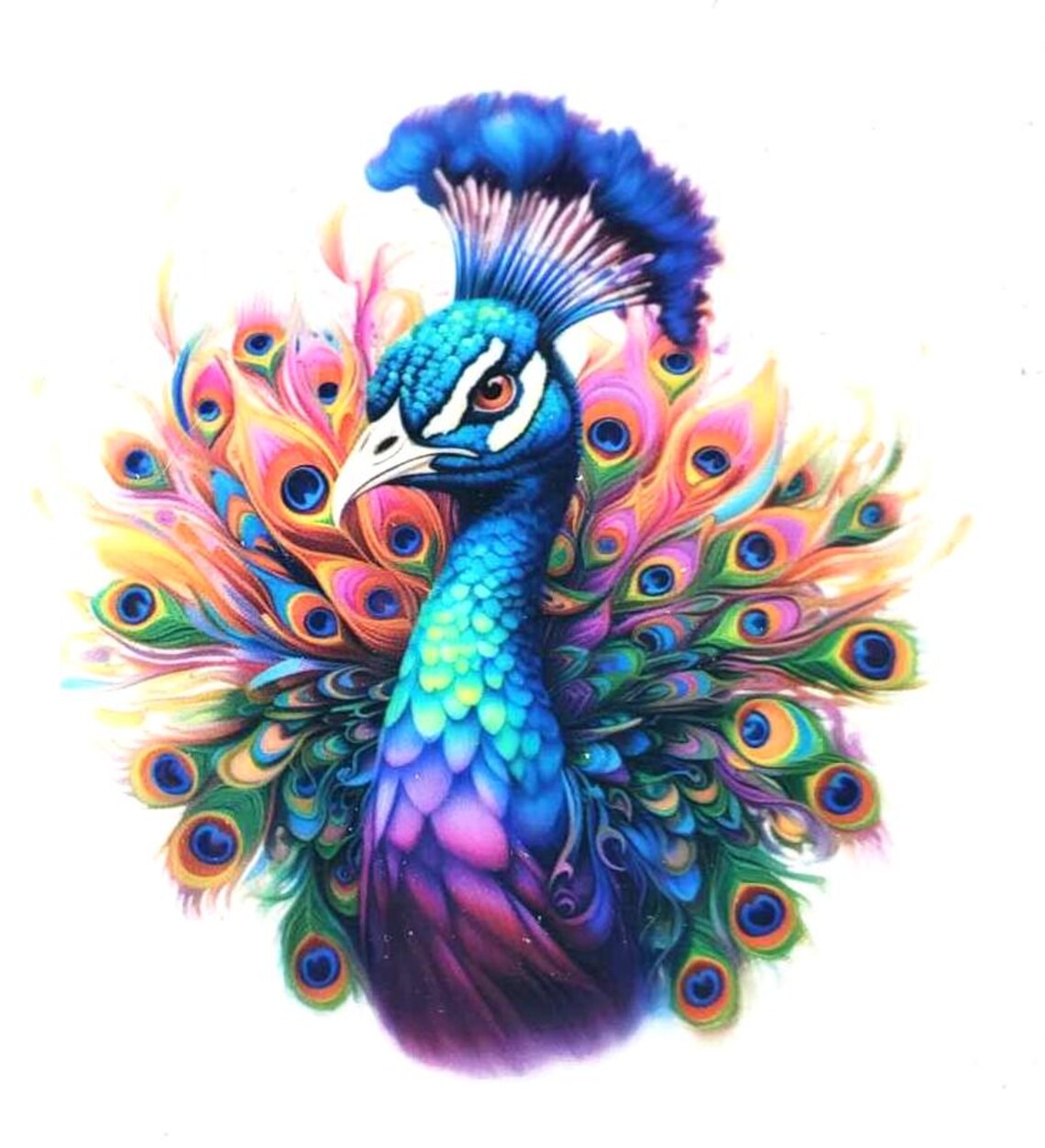 Watercolor Peacock Decals: Full Color Waterproof Stickers - Etsy
