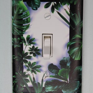 Deep Green Forest Jungle Houseplants Palm Monstera Leaves Plants Light ...