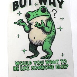 Funny Animal Decal Set: Raccoon, Goose, Frog, Horse, Cow - Waterproof ...