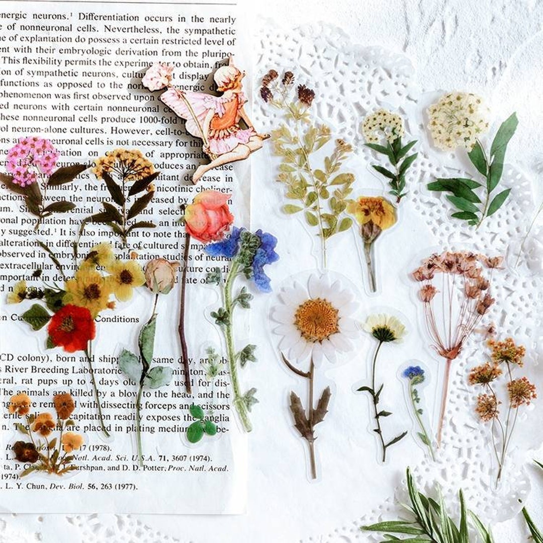 20 Pcs Clear PET Pressed Flower Plastic Stickers, Floral, Buds ...