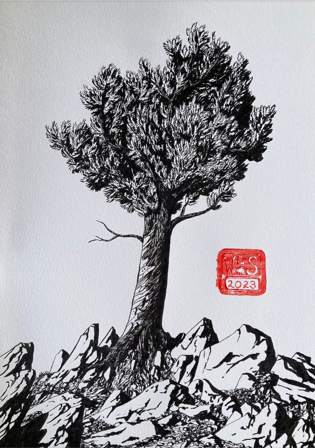 Foxtail Pine - Original Ink Painting - 7x10 Inches - Etsy