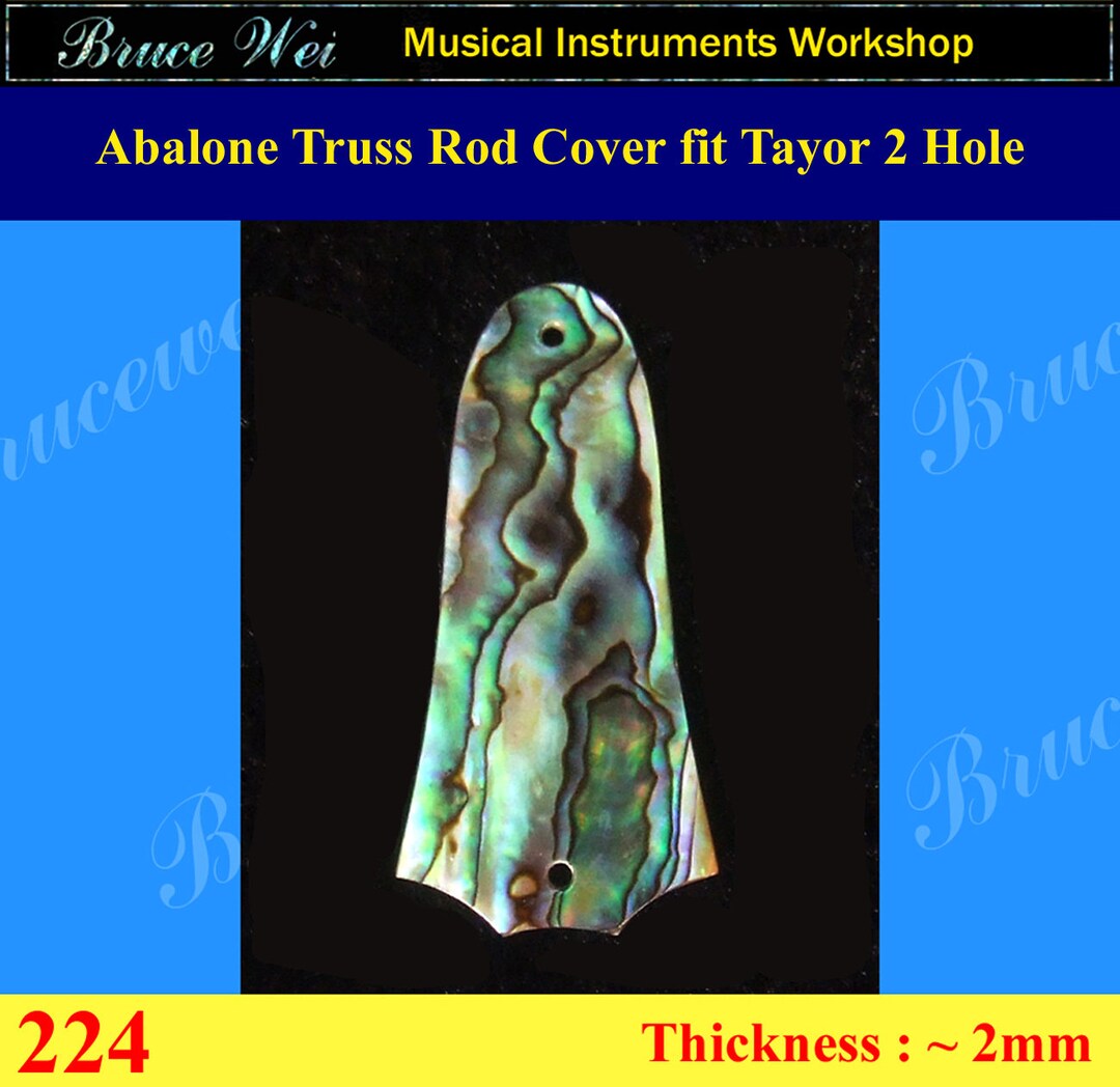 Fit Taylor 2 Hole Guitar Abalone Truss Rod Cover, Bruce Wei (224) - Etsy