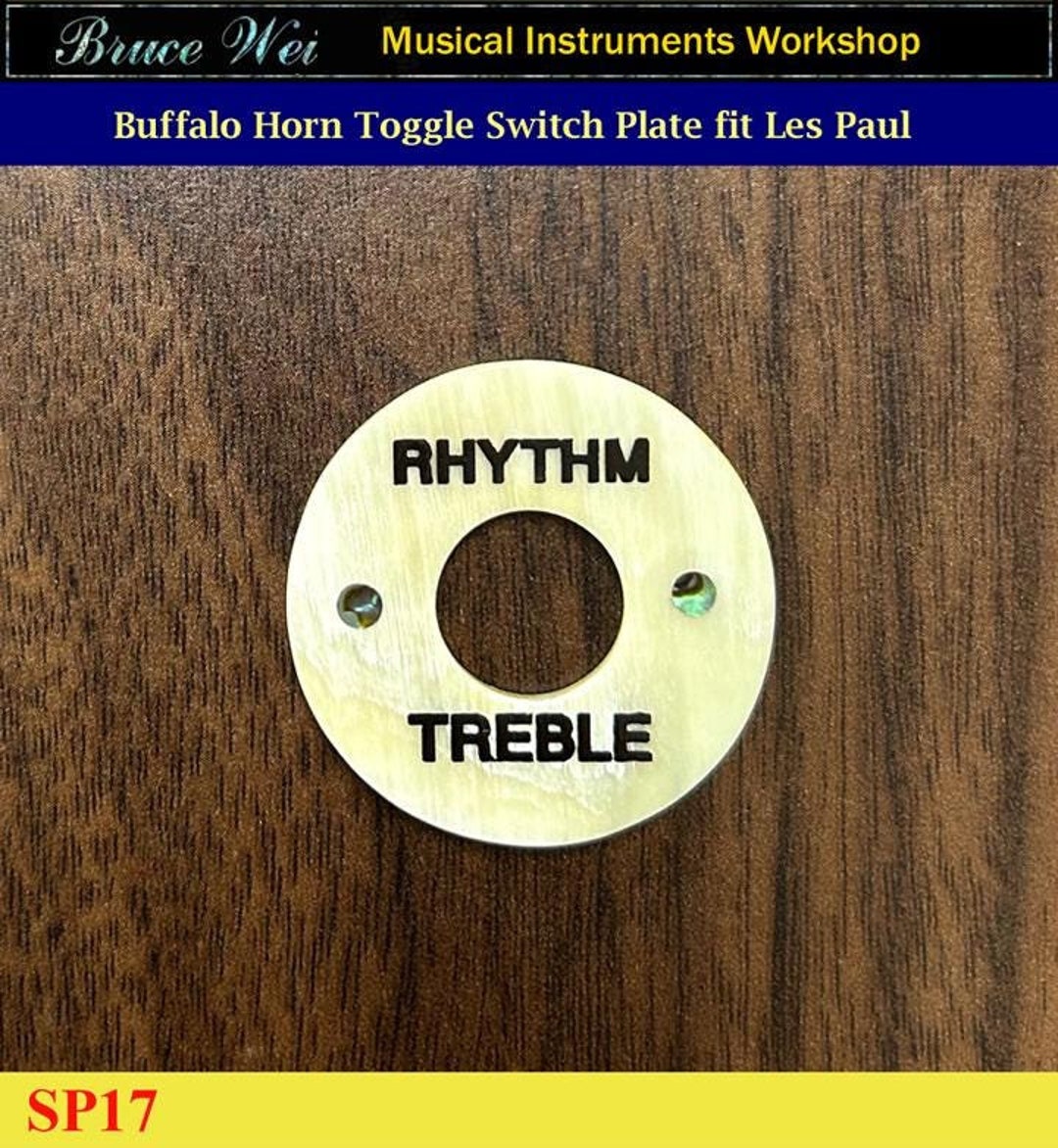 Free Shipping, Buffalo Horn Toggle Switch Plate Abalone Inlay RHYTHM ...