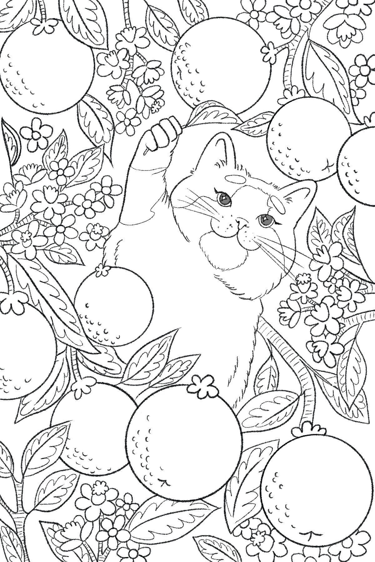 Cats to Color - Coloring Book With Cats - Etsy