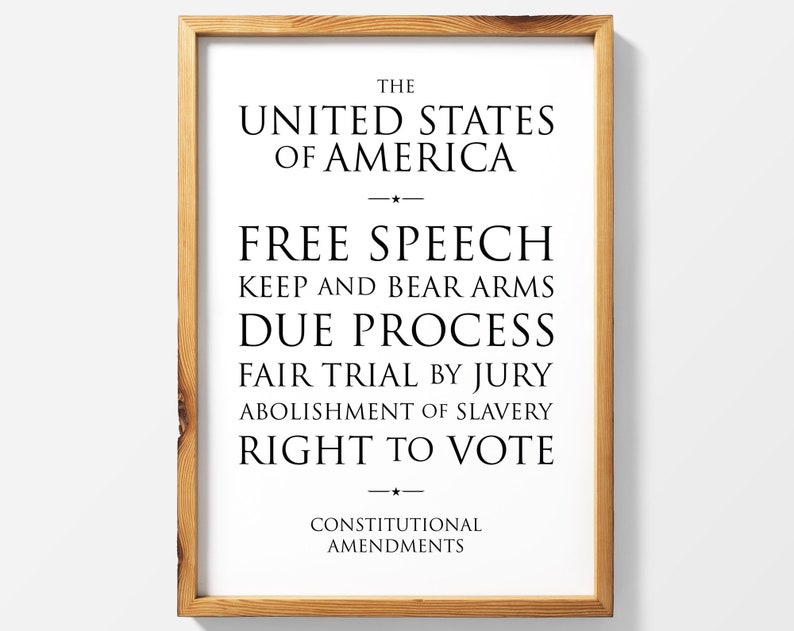 US Constitution Print Art Poster Constitutional Law First - Etsy