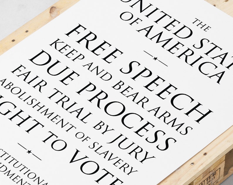 US Constitution Print Art Poster Constitutional Law First - Etsy