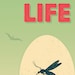 Jurassic Park Poster: Life Finds a Way, Minimalist Dinosaur Print - Etsy