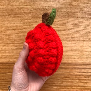 Stuffie Red Apple Rattle - Sensory Exploratory Toy, Teacher Baby Gift ...