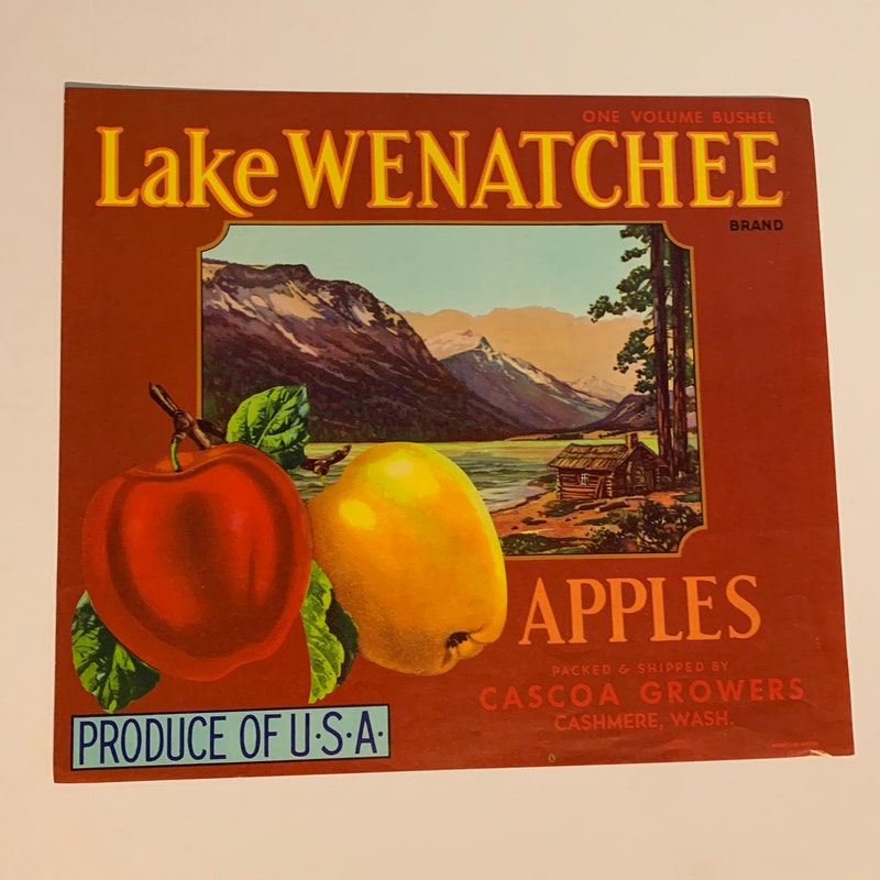 Washington Apple - Etsy