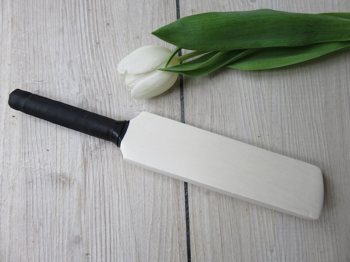 Mini Cricket Bat | Etsy