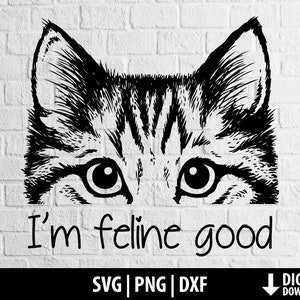 Cute Cat Svg Png Dxf, I'm Feline Good Funny Svg Clipart, Cat Mom, Cat ...