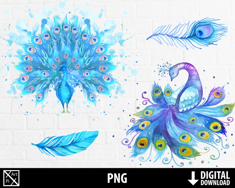 Watercolor Peacock Clipart, Peacock Feathers Png, Hand Drawn Printable ...
