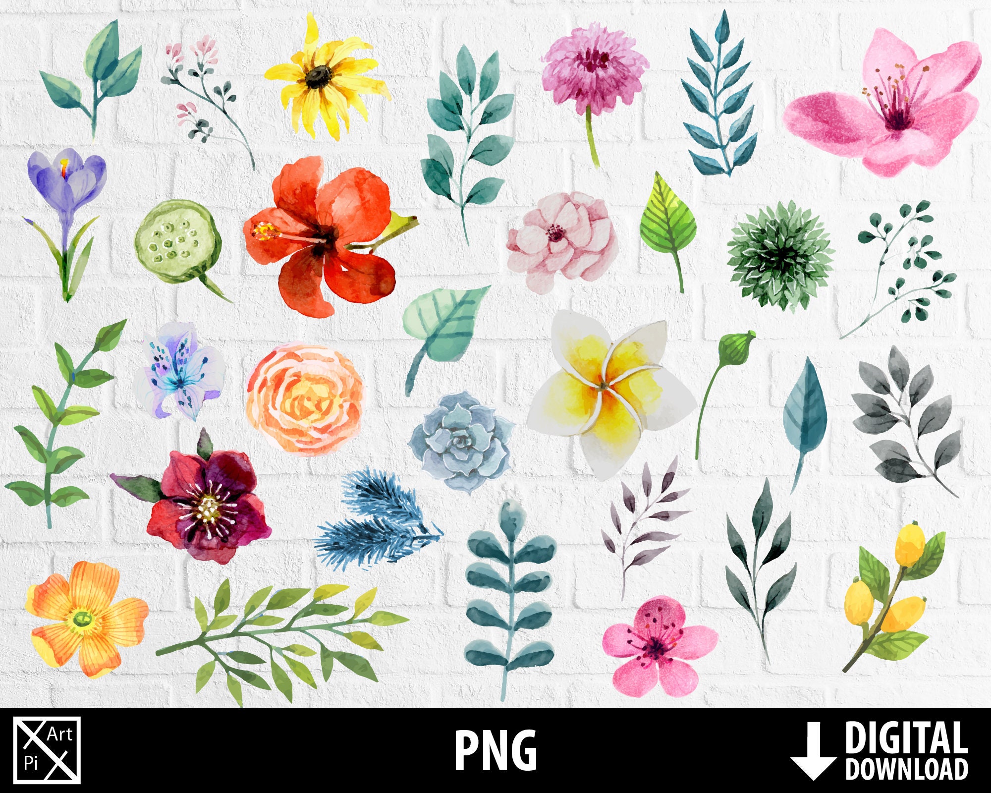 Watercolor Flowers Png Floral Plant Elements Clipart - Etsy