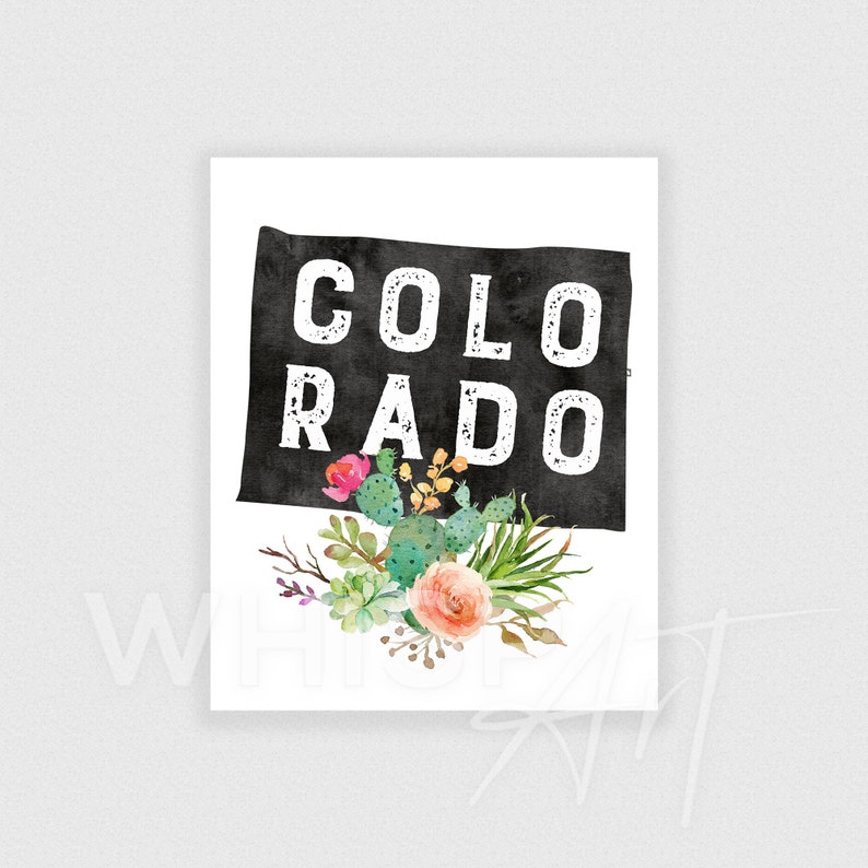 Colorado State Wall Art American State Home Decor Colorado - Etsy