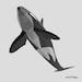 Orca DIY Papercraft Low Poly 3d Model - Digital Pattern. Pdf (scalable ...