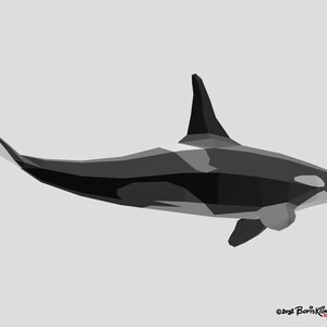 Orca DIY Papercraft Low Poly 3d Model - Digital Pattern. Pdf (scalable ...
