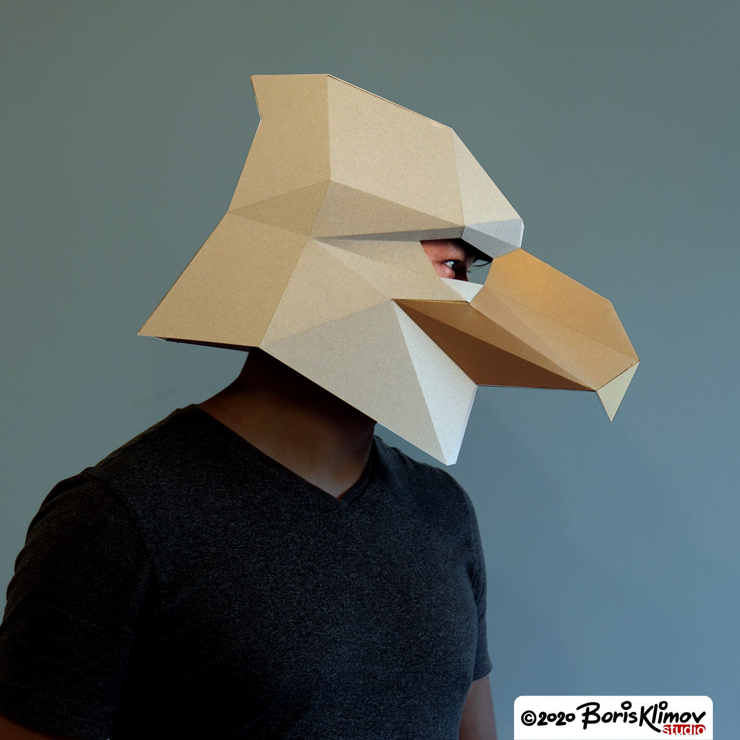 Eagle Berkut Simple DIY 3d Paper Head Mask Pattern Digital | Etsy Australia