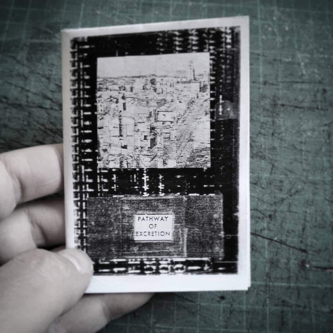 PATHWAY OF EXCRETION Origami Minizine - Etsy