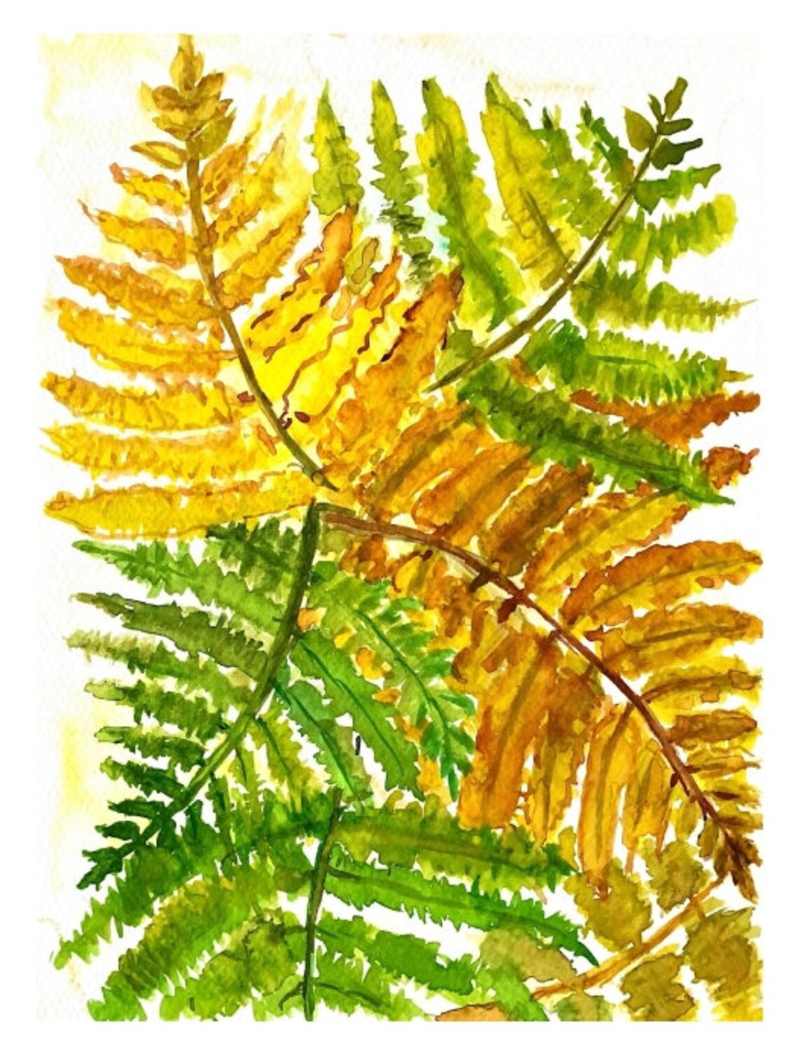 Fern Printable Painting Leaves Print Botanical Illustration - Etsy