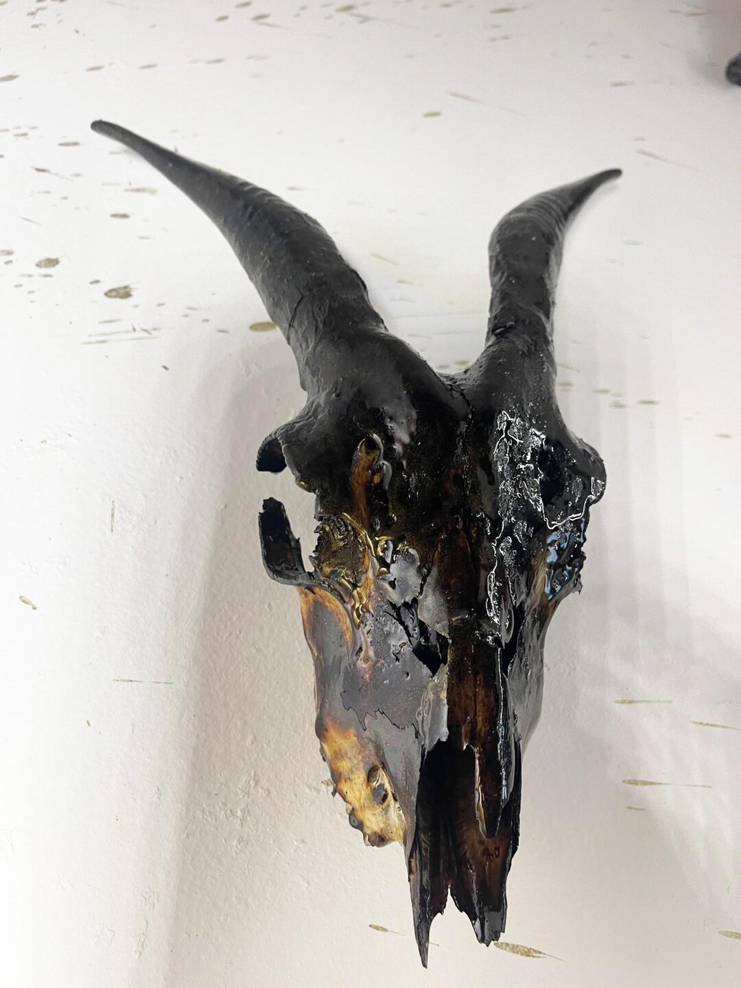 Shadow Demon Goat Skull Mount Dark Gothic Wall Art Occult & Mystical ...