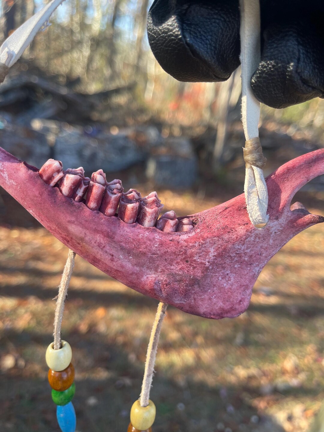 Real Goat Jaw Bone Wall Hanging With Beaded Feather on Real Leather ...