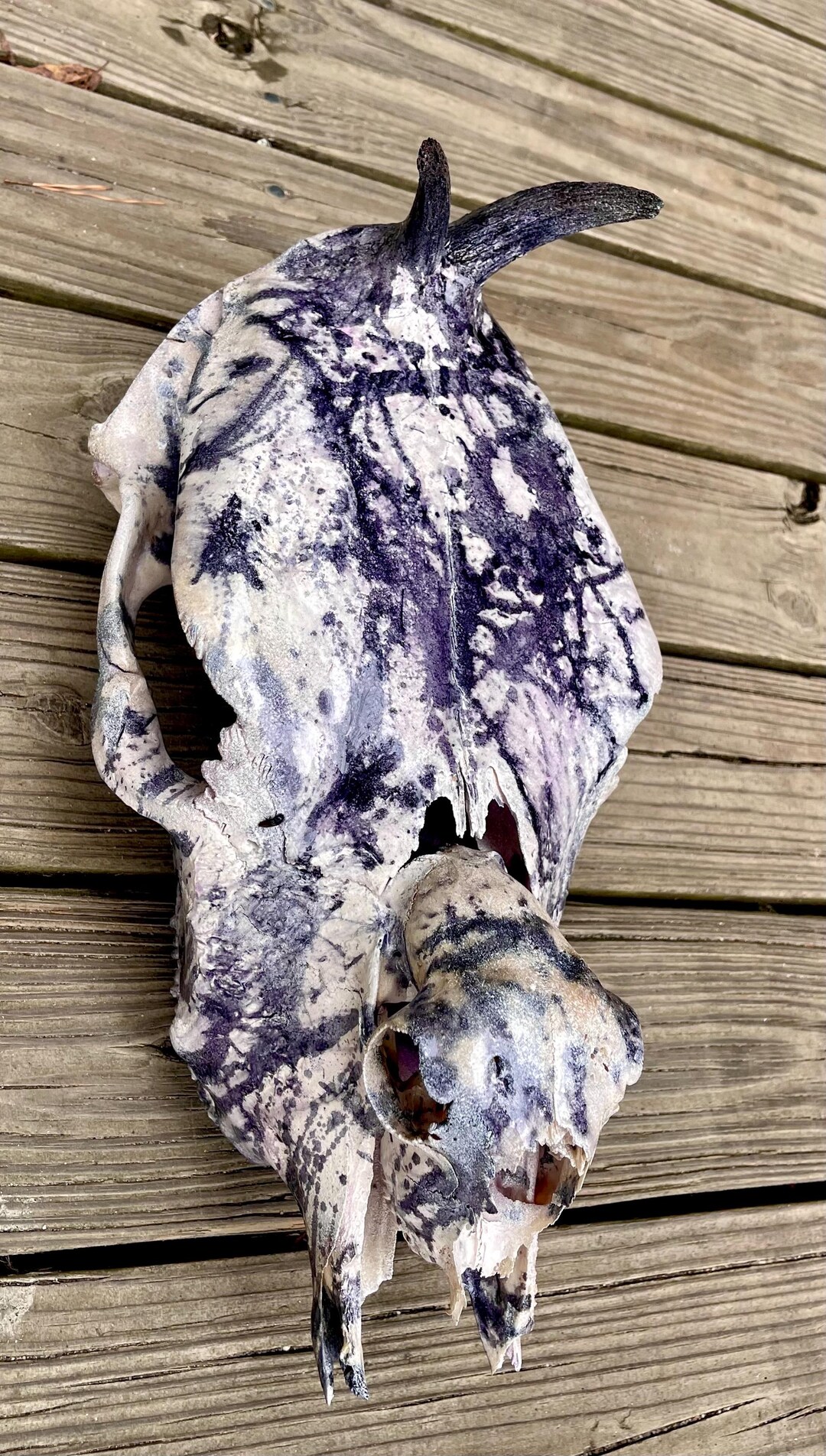 Cow Skull Goat Hulk Skull Wall Mount Bold Handcrafted Decor Unique ...