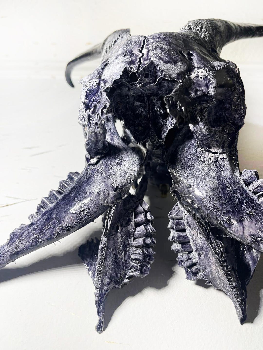 Goat Spider Web Skull Wall Mount Bold Handcrafted Decor Unique ...