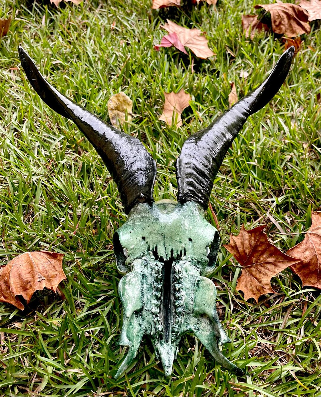 Goat Hulk Skull Wall Mount Bold Handcrafted Decor Unique Taxidermy Art ...