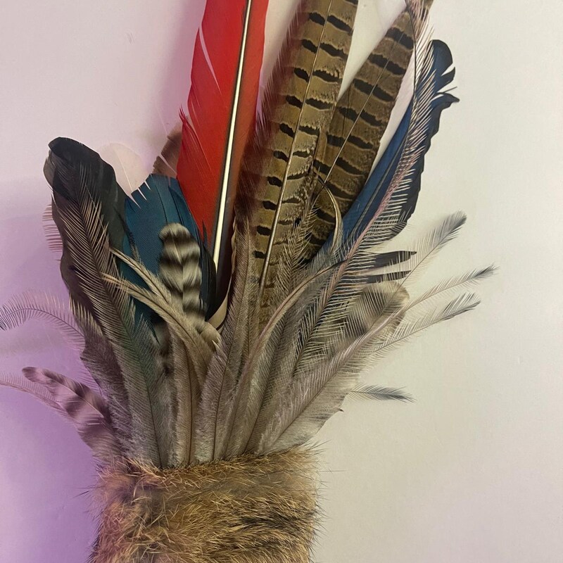 Emu Feathers - Etsy