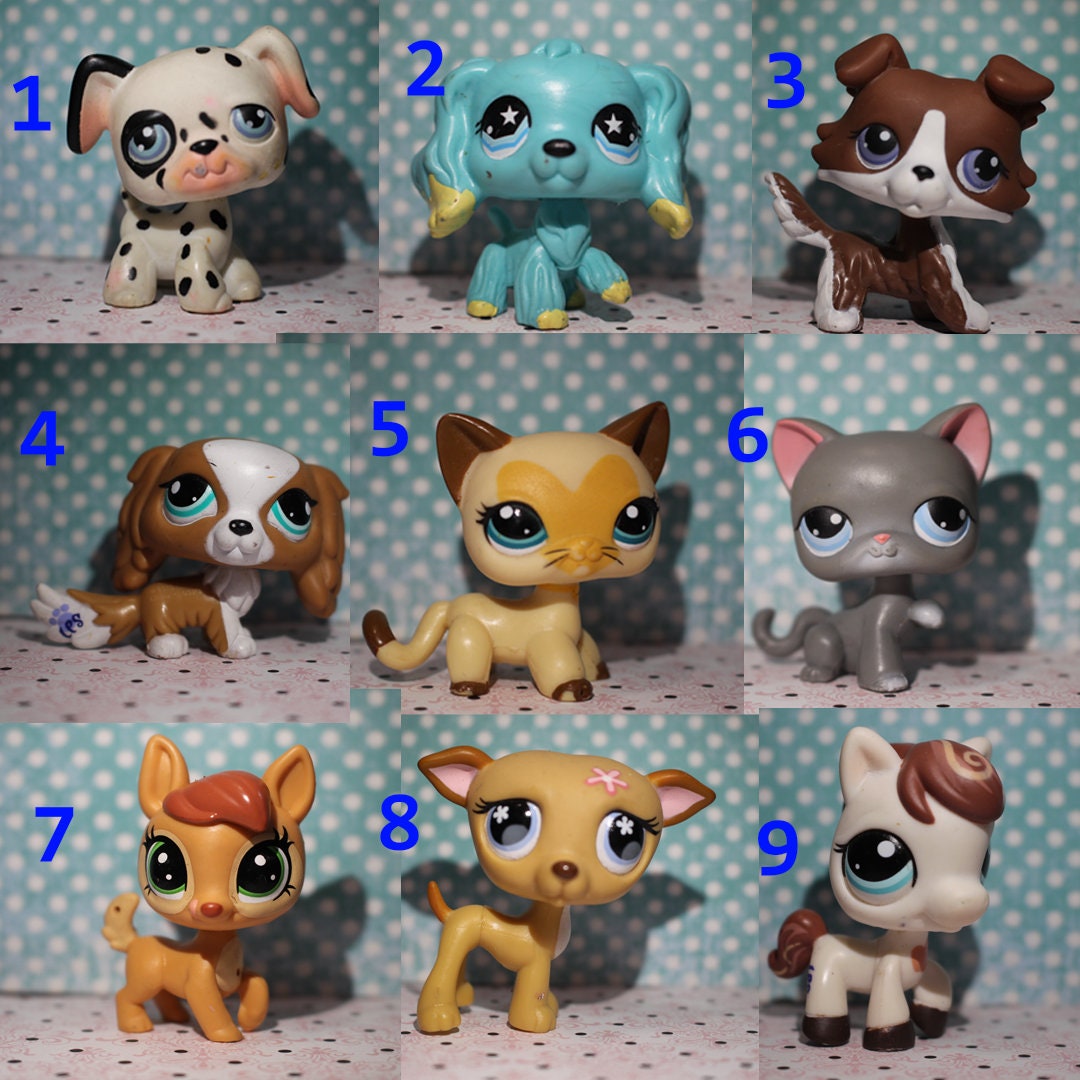 My littlest pet shop store