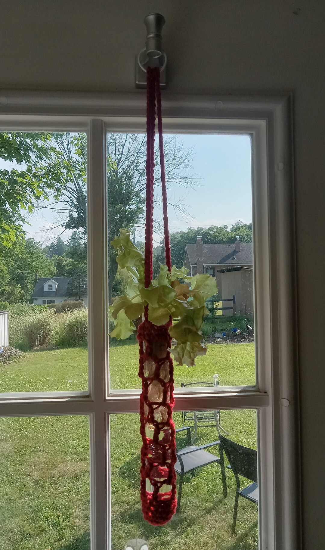 Crocheted Test Tube Plant Holder - Propagation Tube - Etsy