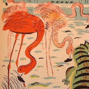 Flamingo and Friends Poster Large 24 by 36 Inch Print Florida Scene ...