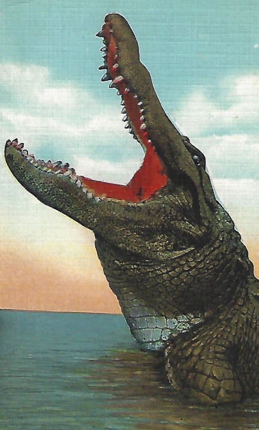 Happy Alligator Welcome to Florida | Framable Art Print | Beach Decor ...