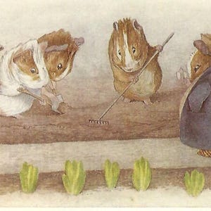 Beatrix Potter, Guinea Pigs Garden | Print Reproduction | Gift for ...