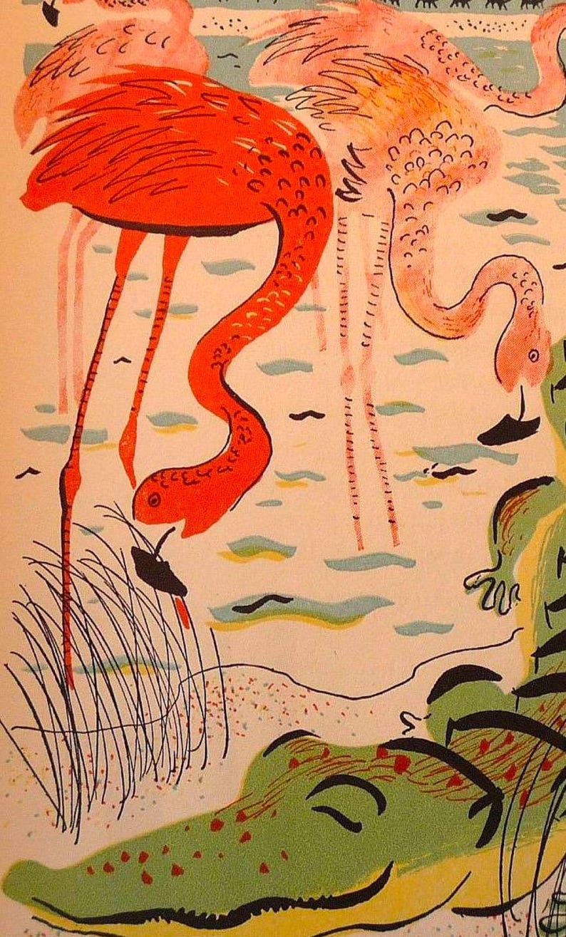 Alligator and Friends Florida Scenery Framable Print Flamingos Wall Art ...