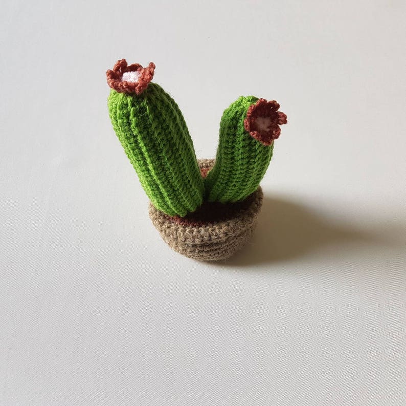 Double Cactus Small Crochet Cactus Handmade Cactus - Etsy Australia
