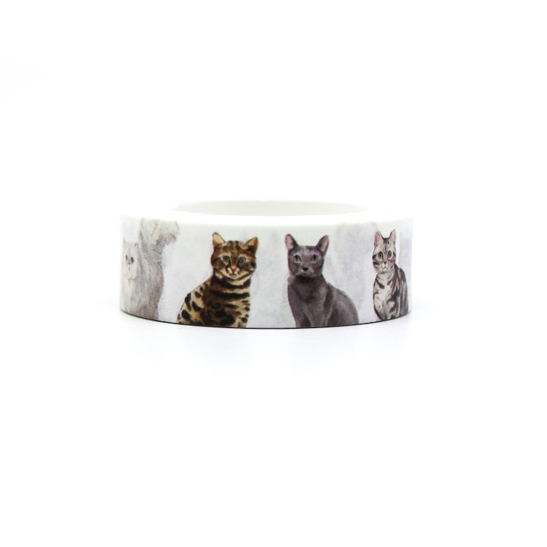 Realistic Cat Pattern Washi Tape, Adorable Kitten Washi Tape, Cute Cats ...