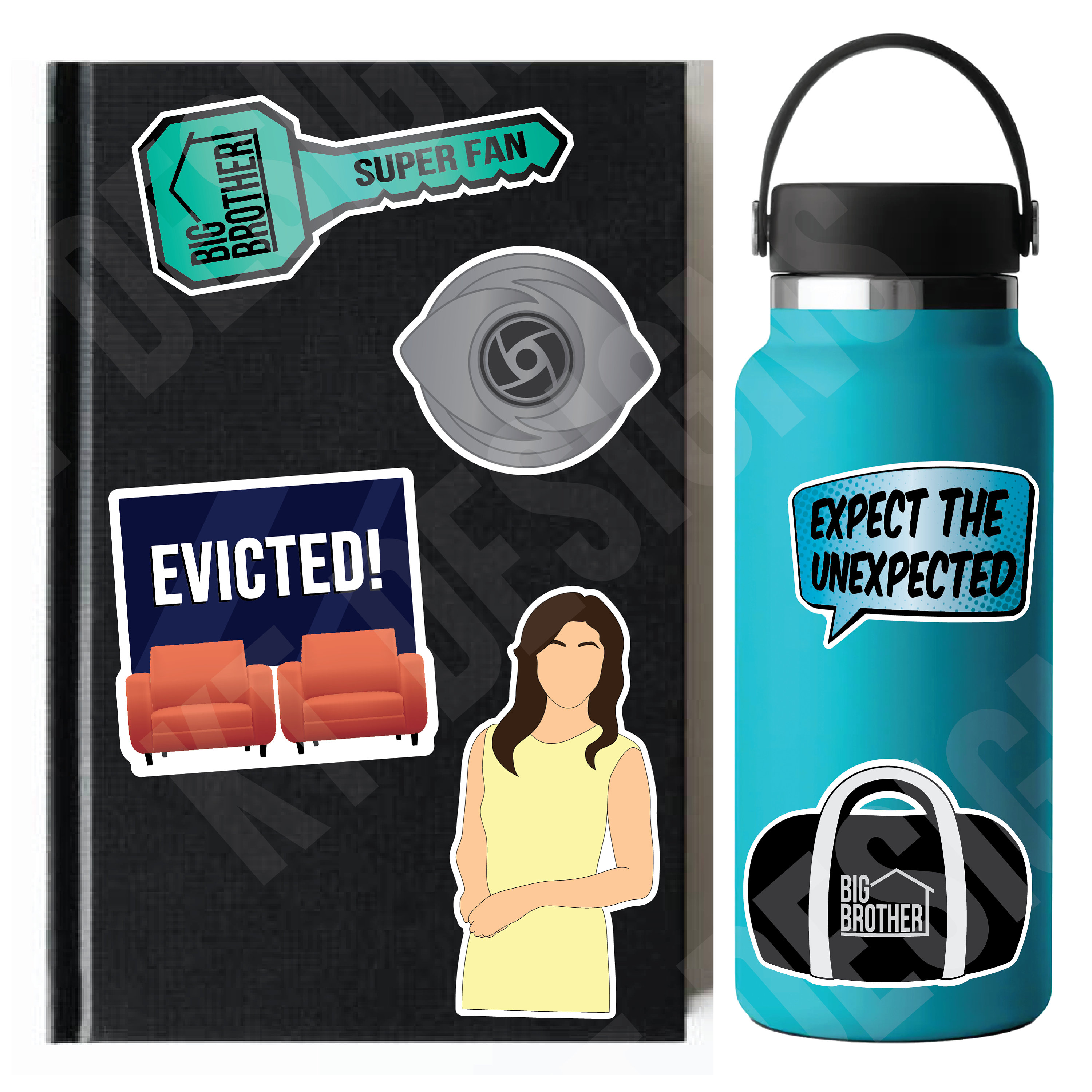 Big Brother Sticker Set Series 2 6 Stickers | Etsy