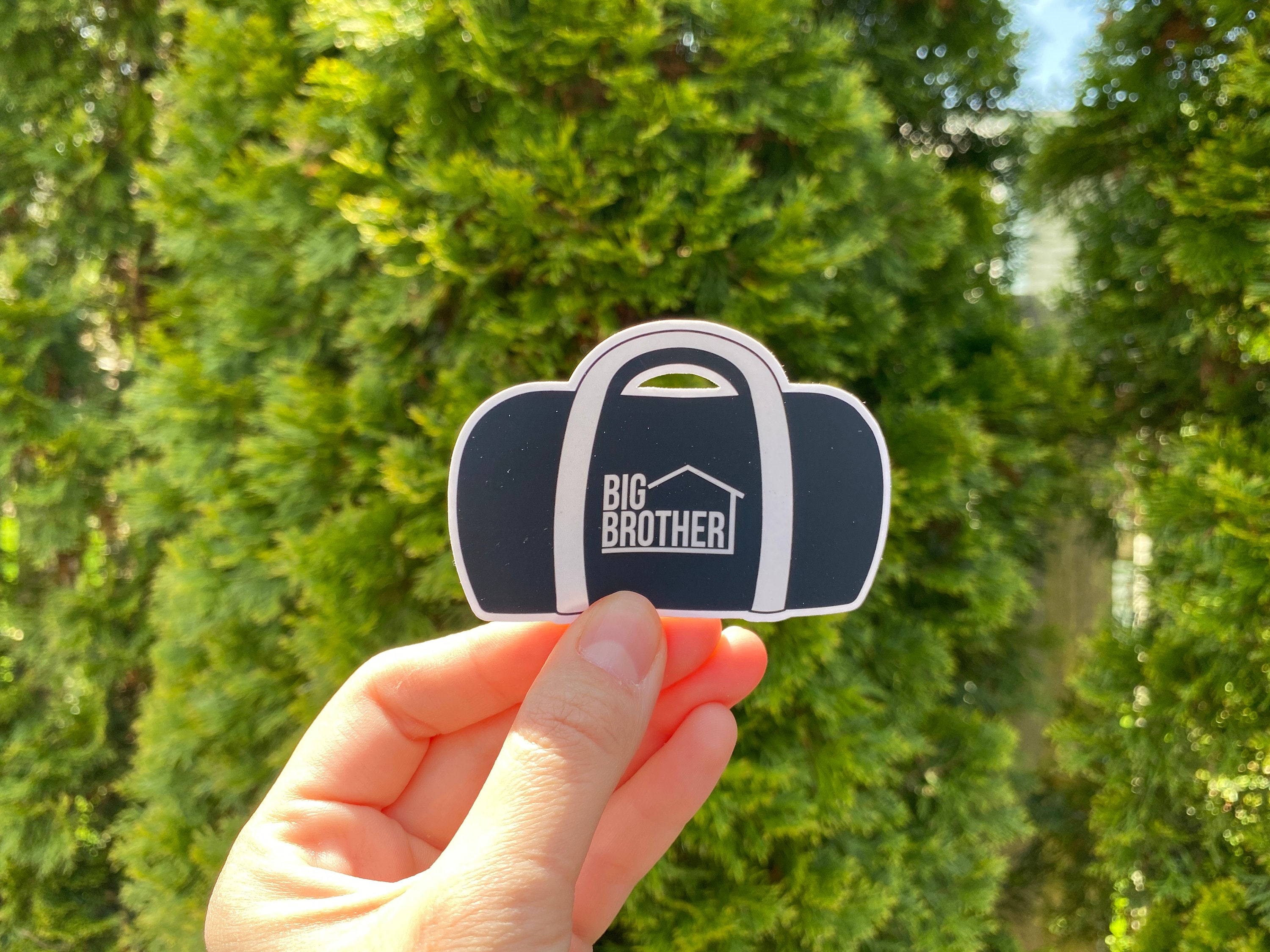 Big Brother Sticker Set Series 2 6 Stickers | Etsy