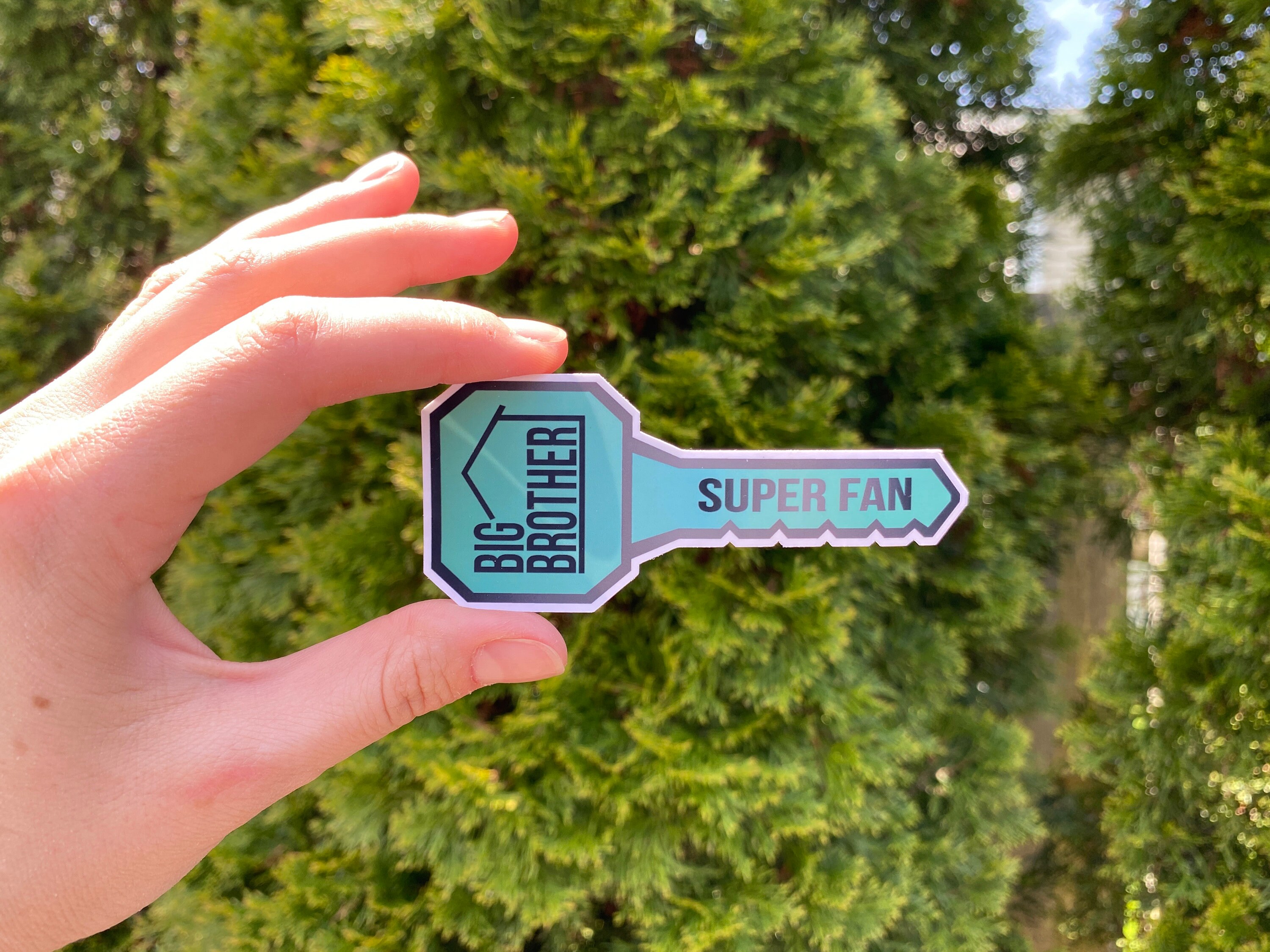 Big Brother Sticker Set Series 2 6 Stickers | Etsy