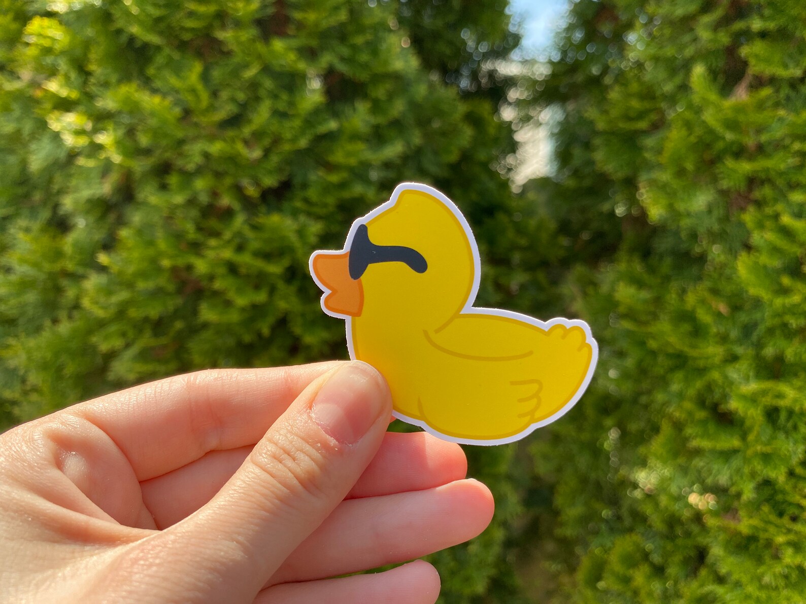 Big Brother Sticker Set Series 1 6 Stickers - Etsy