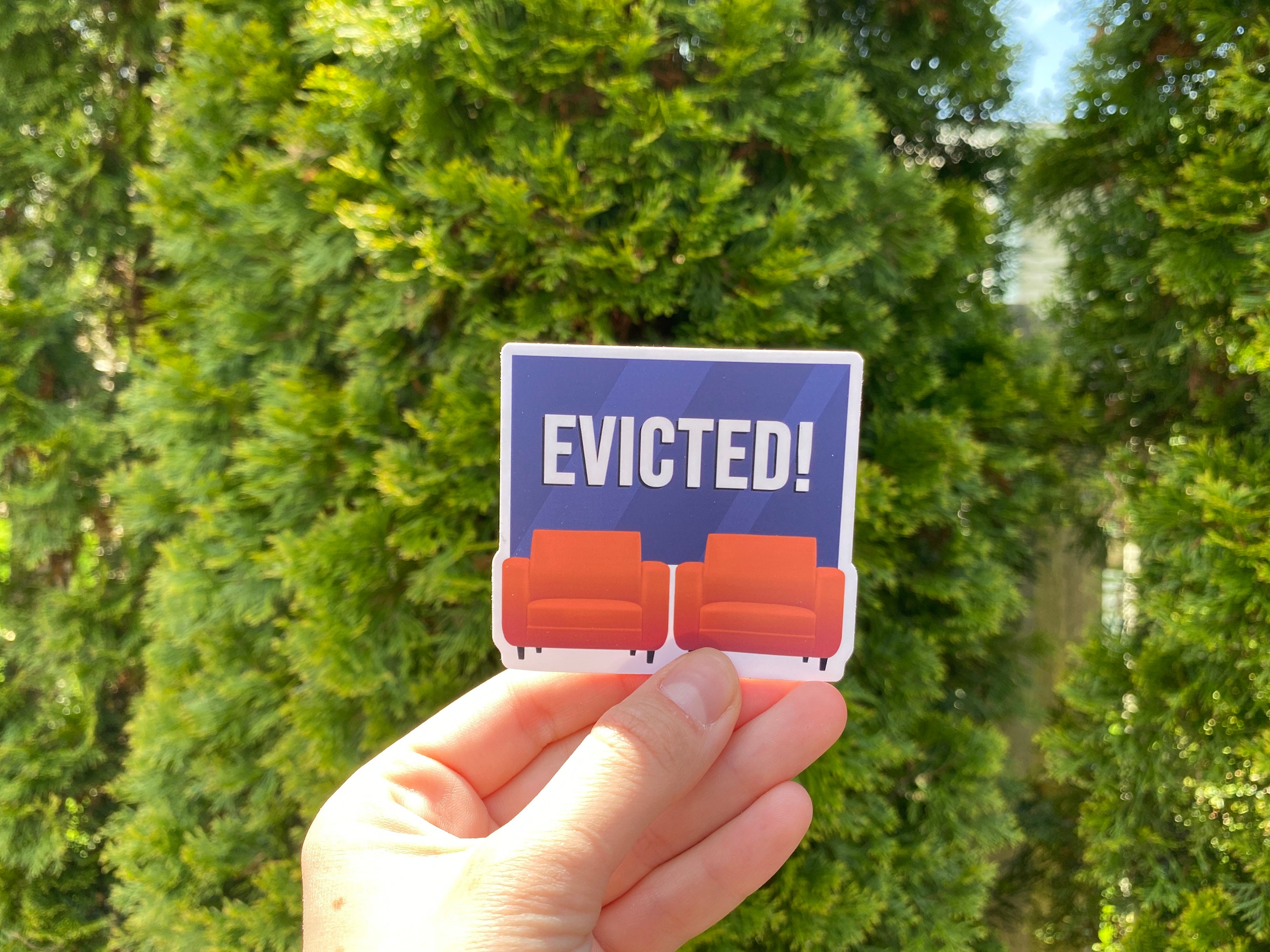 Big Brother Sticker Set Series 2 6 Stickers - Etsy