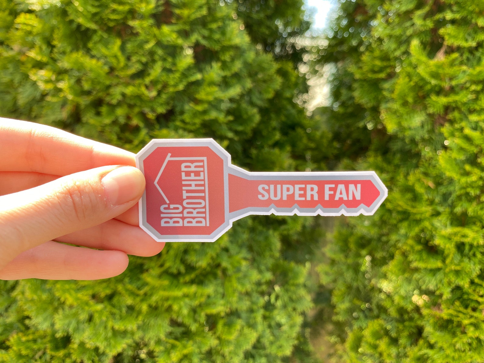 Big Brother Sticker Set Series 1 6 Stickers | Etsy